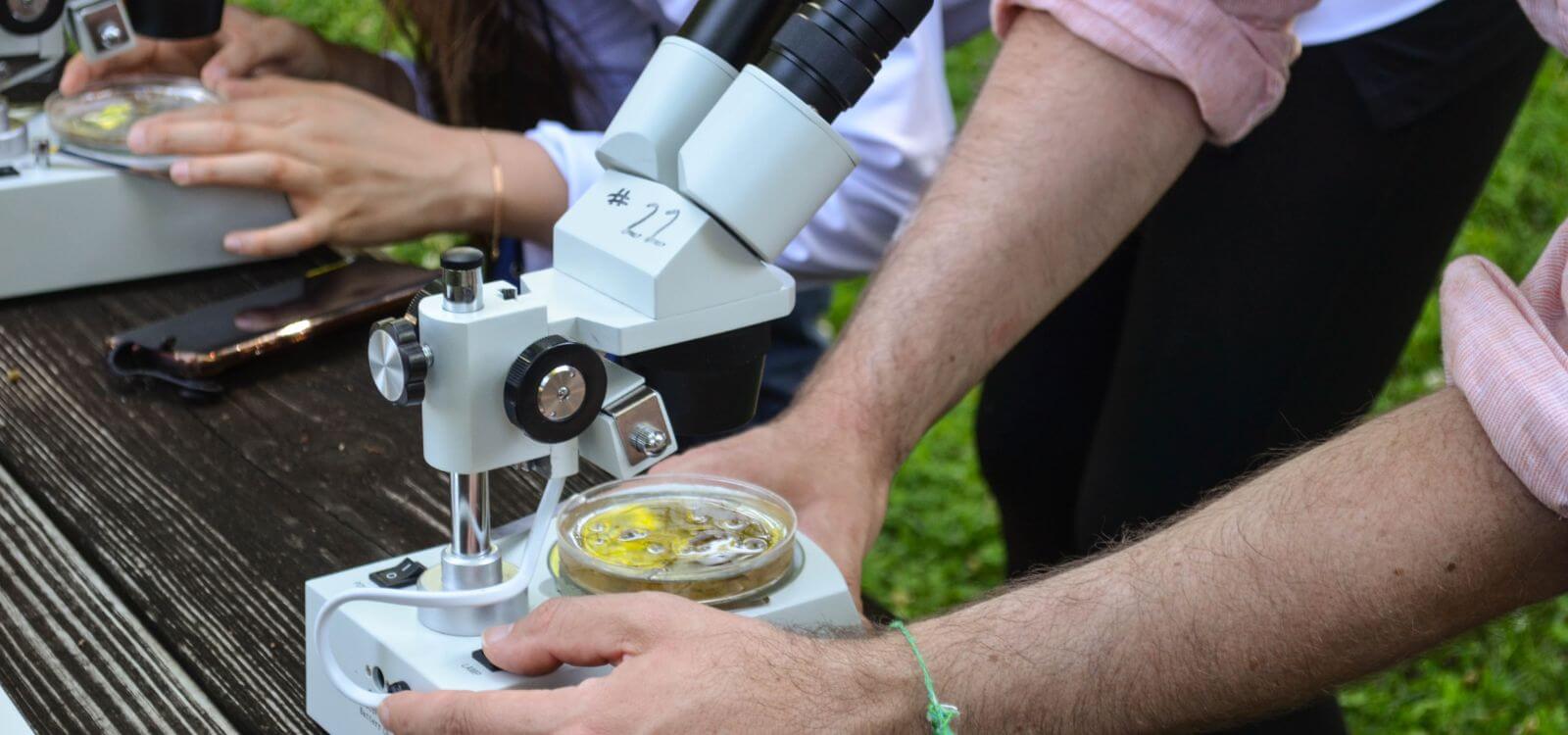 Microbiology Major | What You'll Learn, What You'll Do, and Why It Matters