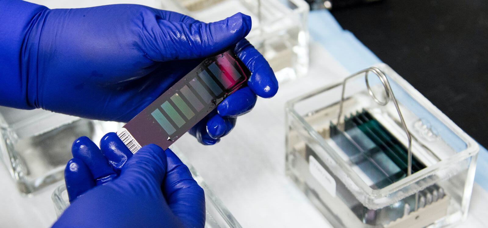 Biology Lab | Getting You Ready to Learn and Thrive as a New Biologist